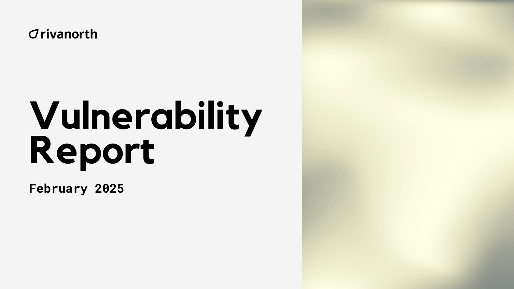 Vulnerability Report: February 2025